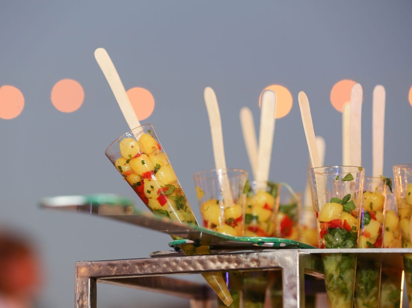 San Diego Special Event Venues with a View | Iconic Hotel Del Coronado