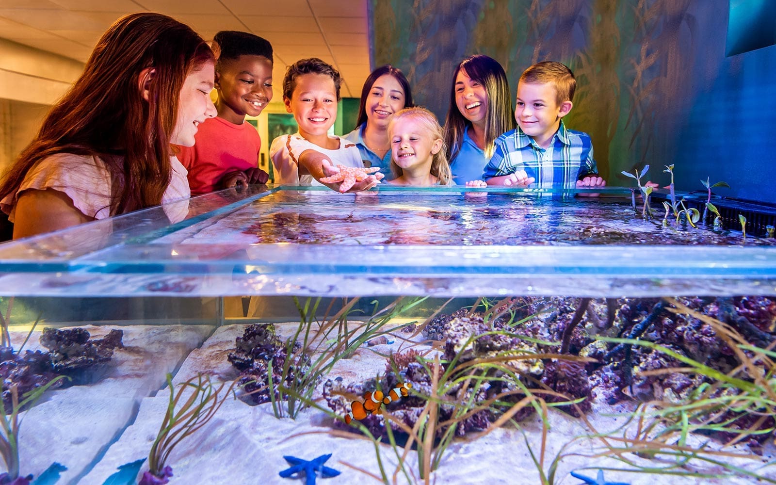 Ocean Explorers - Hotel del Coronado